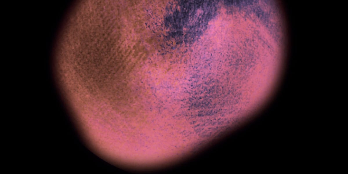 Reflections, Imbolc 2022 - by Gemma Mortensen