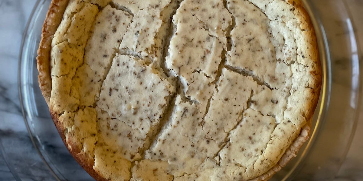 Sambocade - by Julia Dietz