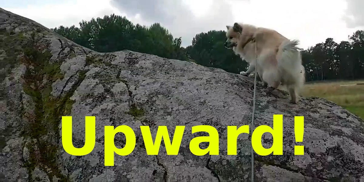 The Upward Movement the-upward-movement