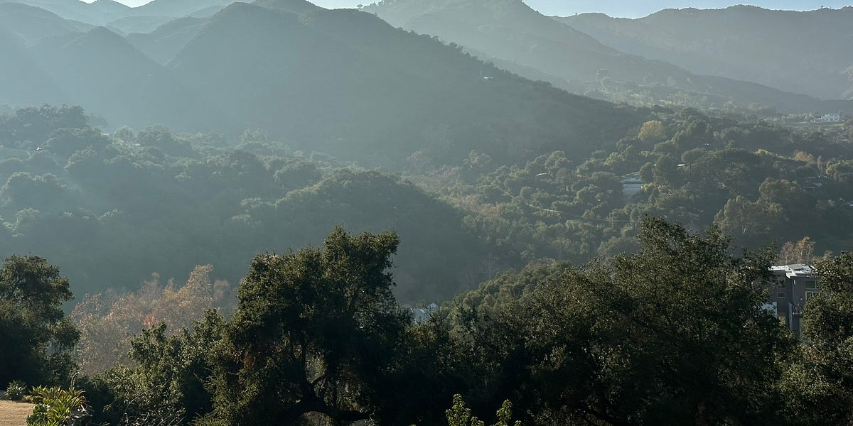 One year later - Decadence with Tanna Key