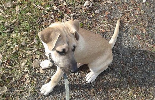 Social Networking - The Geek Edge