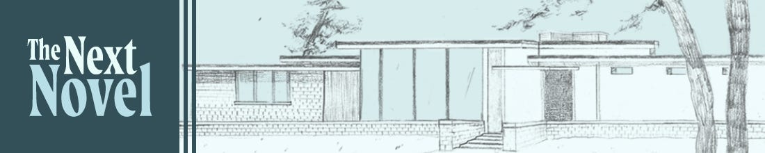 10,000 Words - by Shayne Terry - The Next Novel