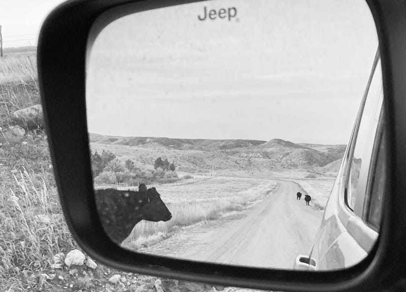 Perspective - Bryan Landers