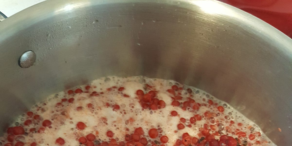 Buffalo Berry Wine Recipe - by Dean Stewart - The Forager