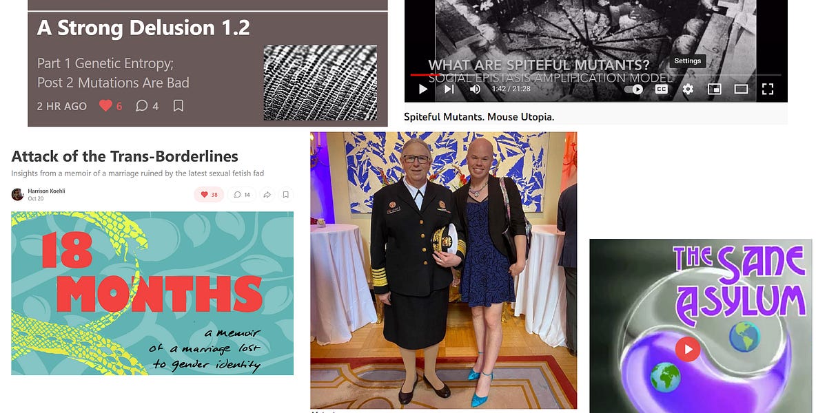 Evolution or Devolution? - by Jerome V