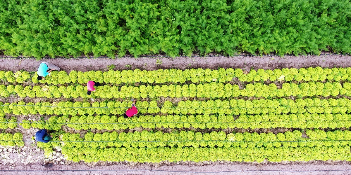 Tres diarios íntimos - by Diego Geddes