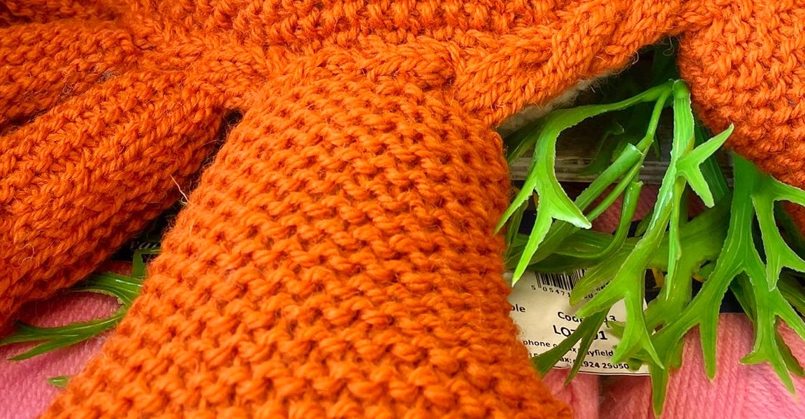 Behind the Scenes: Our Latest Wool Shop Window