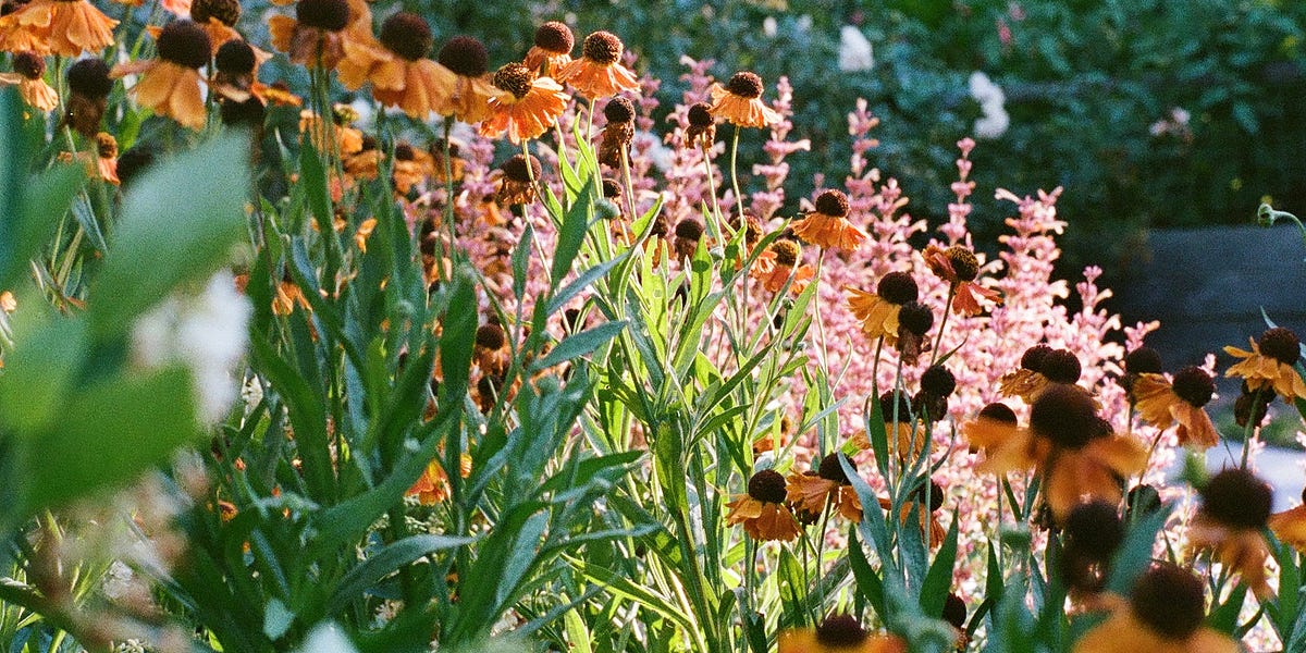 Happy belated pizza day - by MK Charron - pizza day