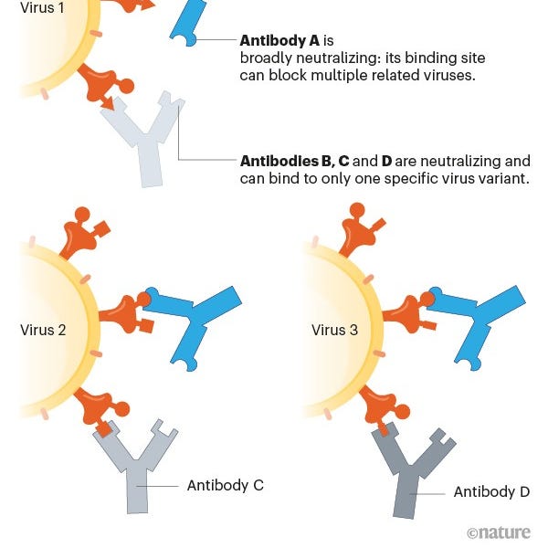 Pan-coronavirus "super" vaccine - by Katelyn Jetelina