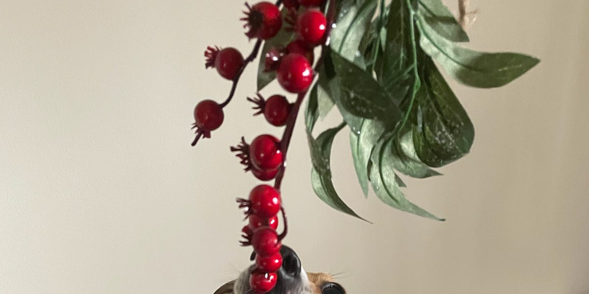 *Insert Witty/Wise Acknowledgement of a New Year*