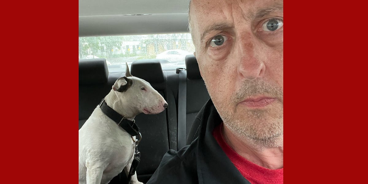 AMZA: Ask Me & Zeke Anything August 2022 - by Robert Cox