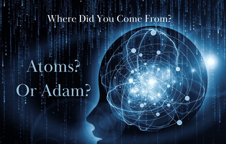 Human Beings: From Atoms, or Adam?