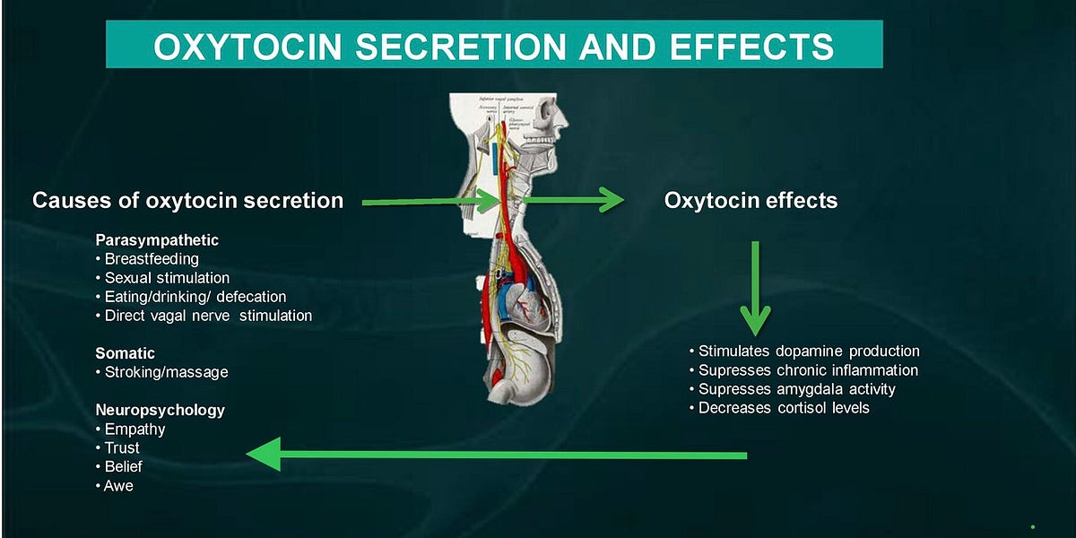 Placated by a placebo - by Ian Weinberg - Ian’s Newsletter