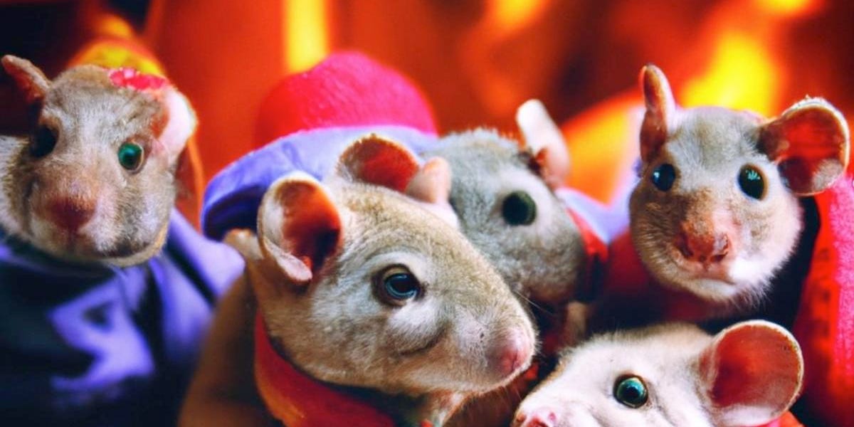 Google Carbon Wants to be the Successor of C++