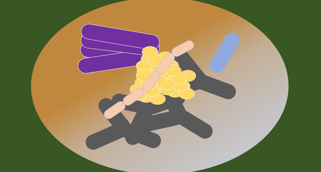 Cheating at Evolution - by Stephen Skolnick