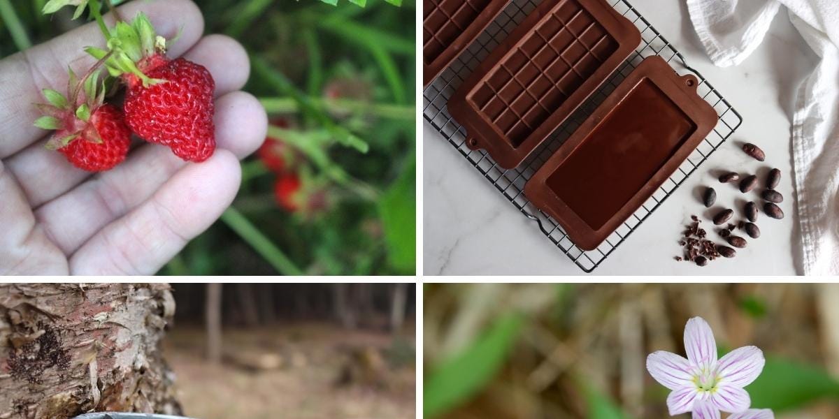 May 2022 | Practical Self Reliance - by Ashley Adamant