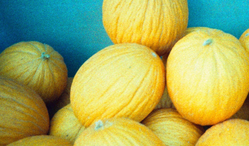 Η Μελόνι με τον κηδεμόνα της - by Eurydice Bersi