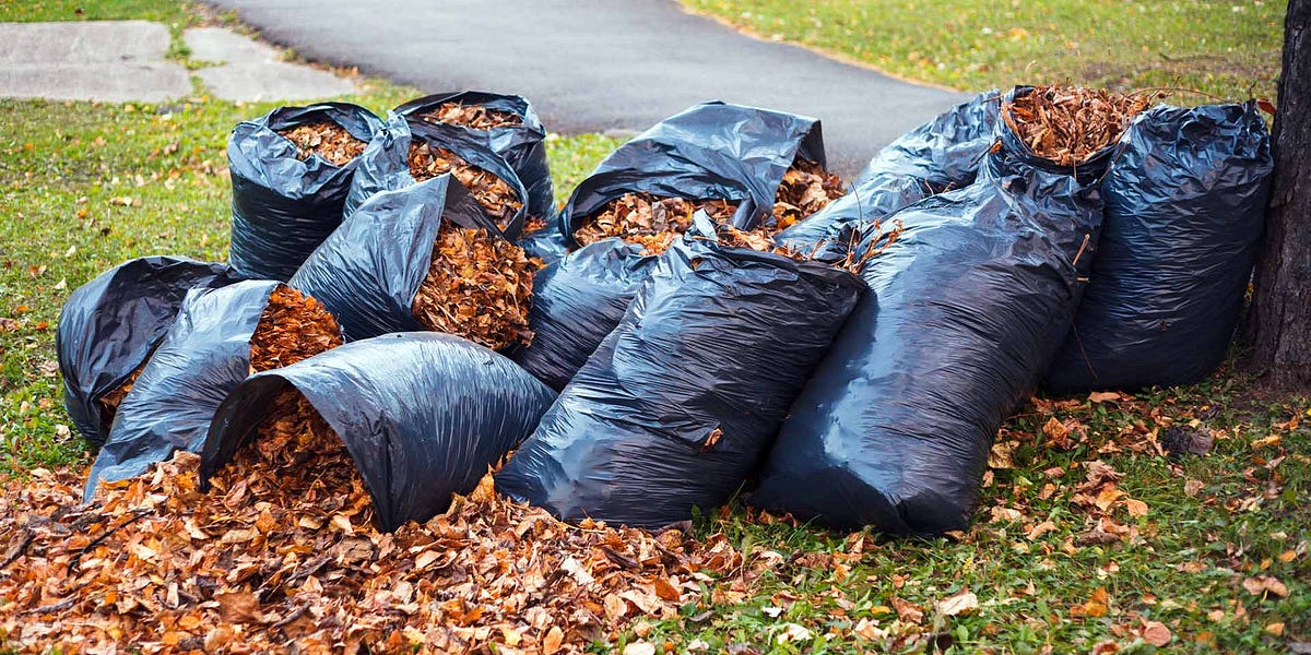 Raking Leaves, One Regret, & Reminder: Bruce Springsteen Sucks