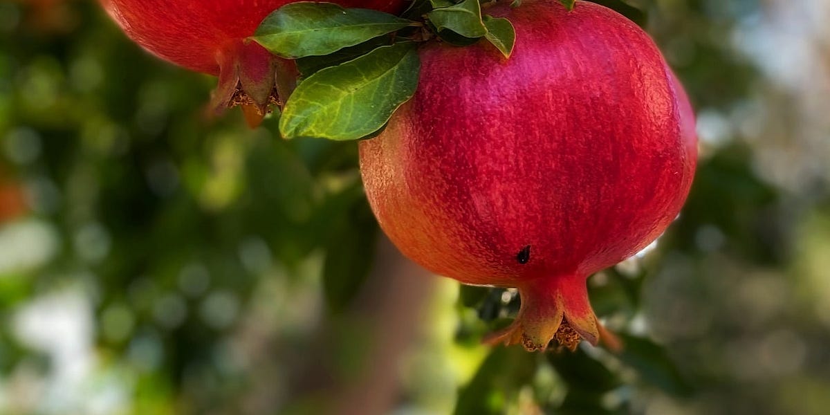 Everyday Devotions to Persephone - by Cecaelia