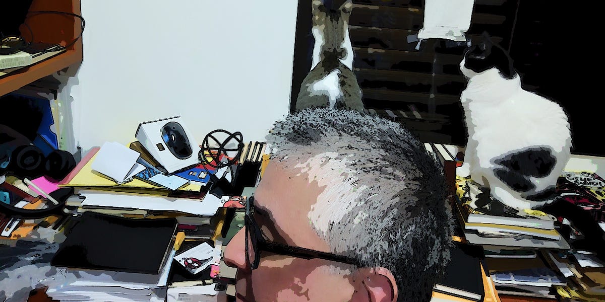 Doutor Palhinha (en)contra o Homoim - by Claudio D. Shikida