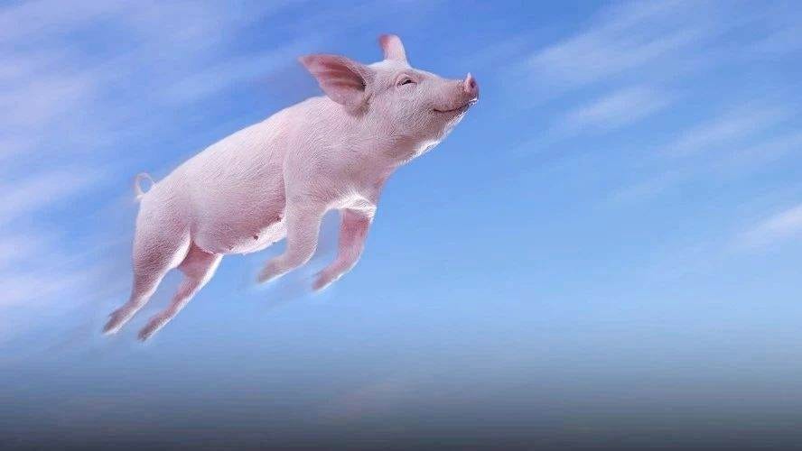 CALB vs CATL: Can Two Battery Pigs Both Fly? - by Kevin Xu