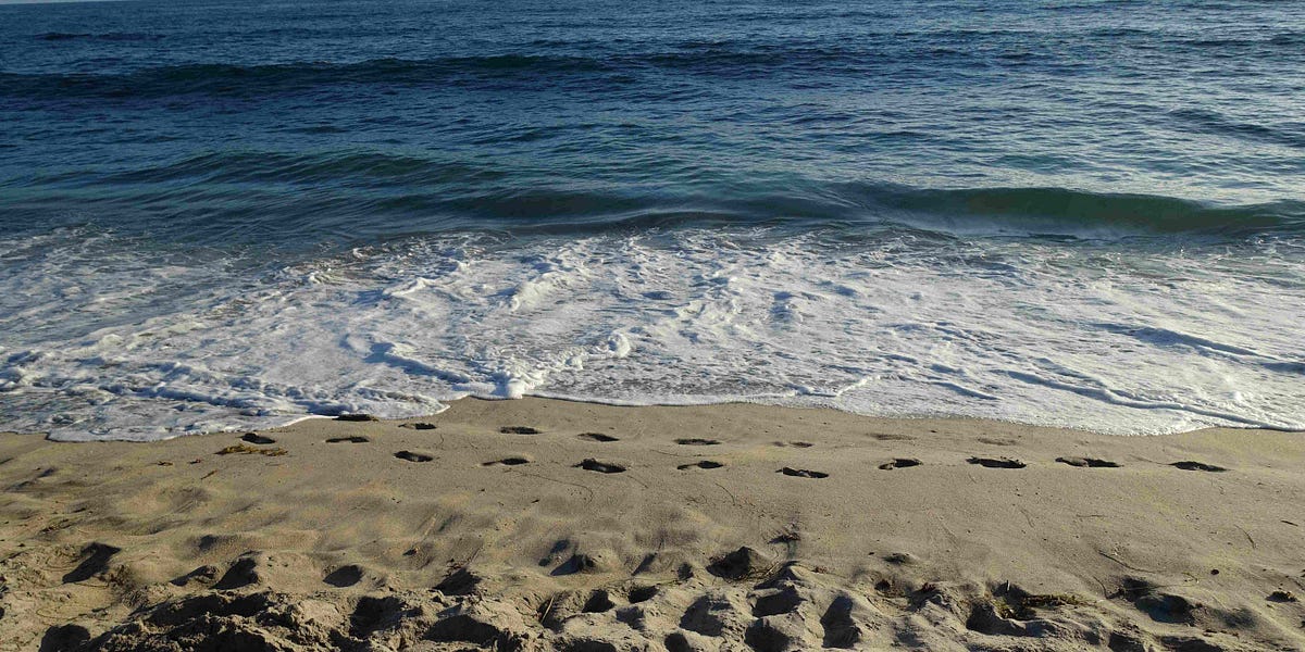 Footprints in the Sand - Curious Butterfly's Adventures
