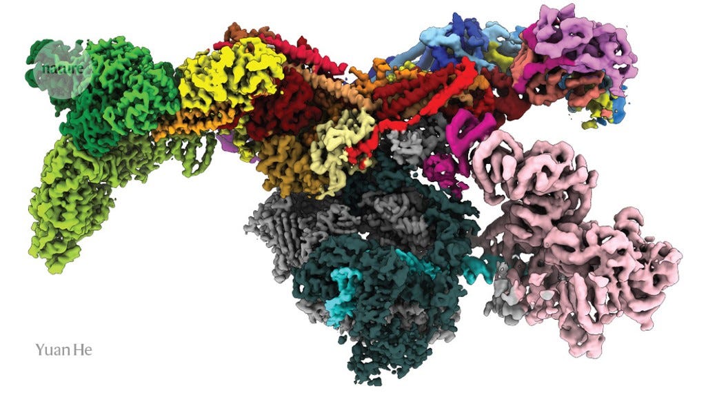 AlphaFold Releases Protein Structures
