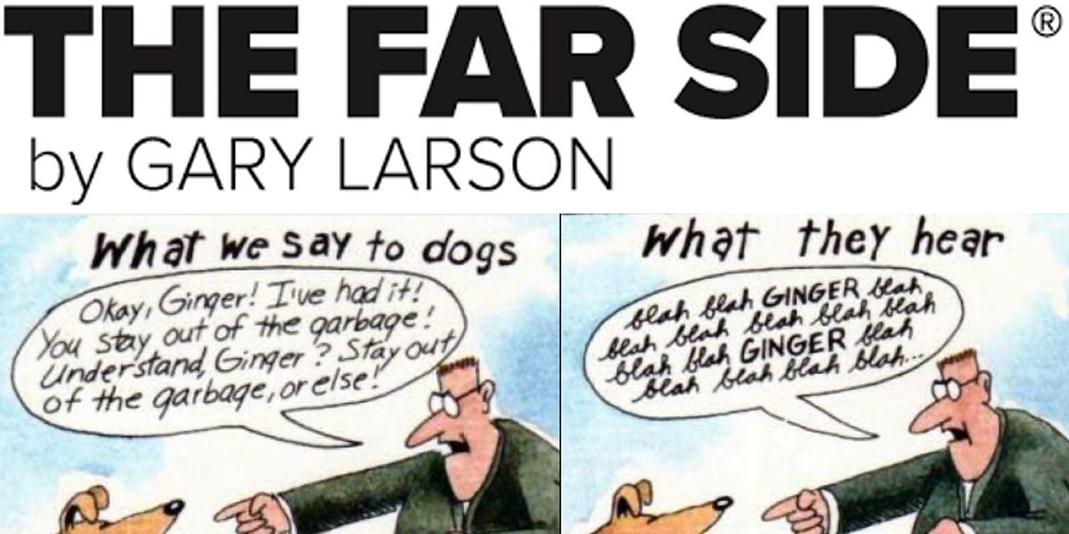 Why I Started This Substack - by Erik Rupard - Cancer 101