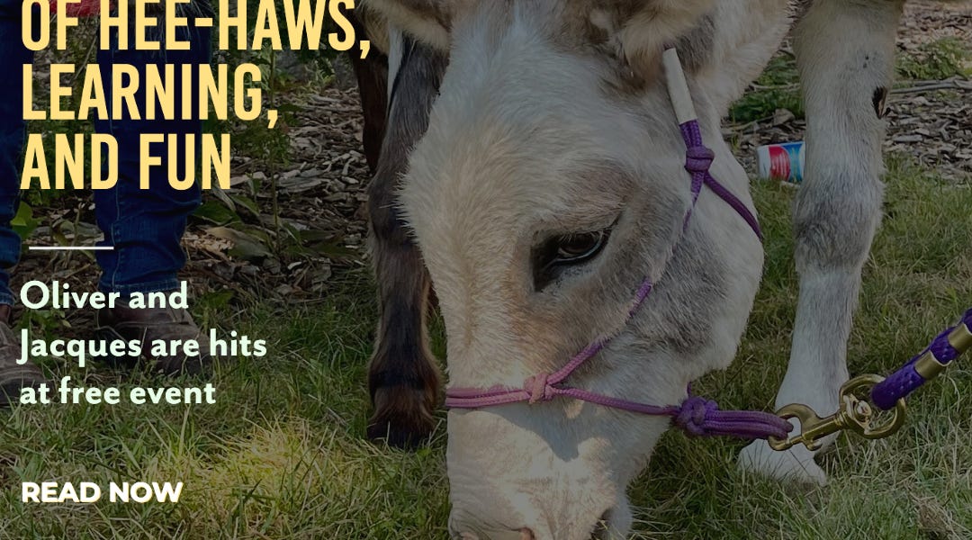 Library’s Festival of Fun Full of Hee-Haws, Learning, and Fun