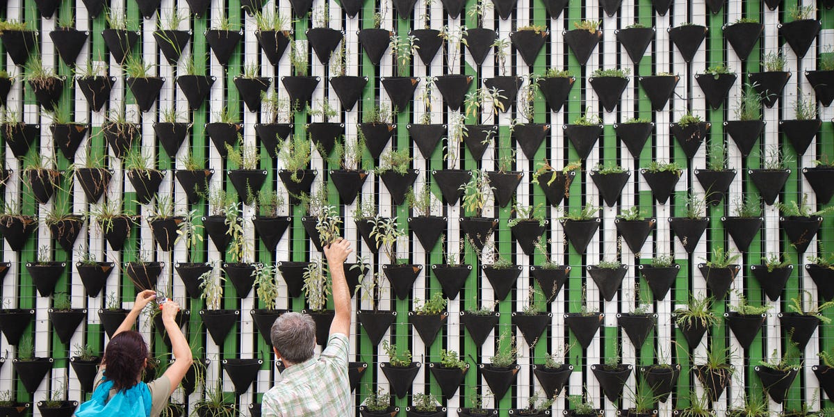 How micro-behaviours can drive social change