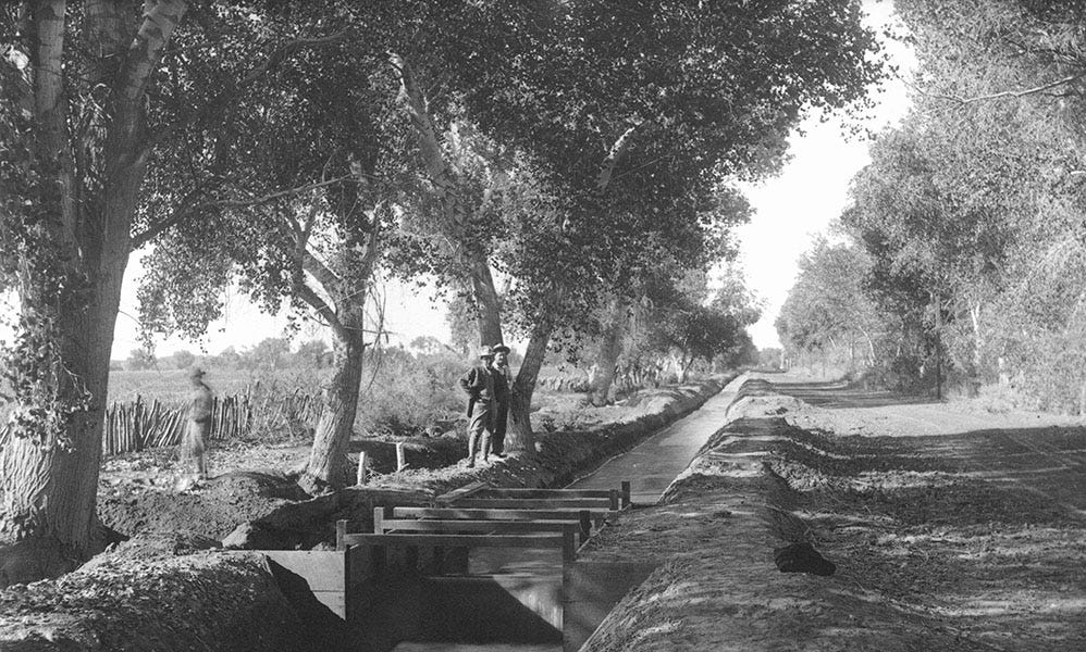 The Heat - by Billy Robb - Cholla Express