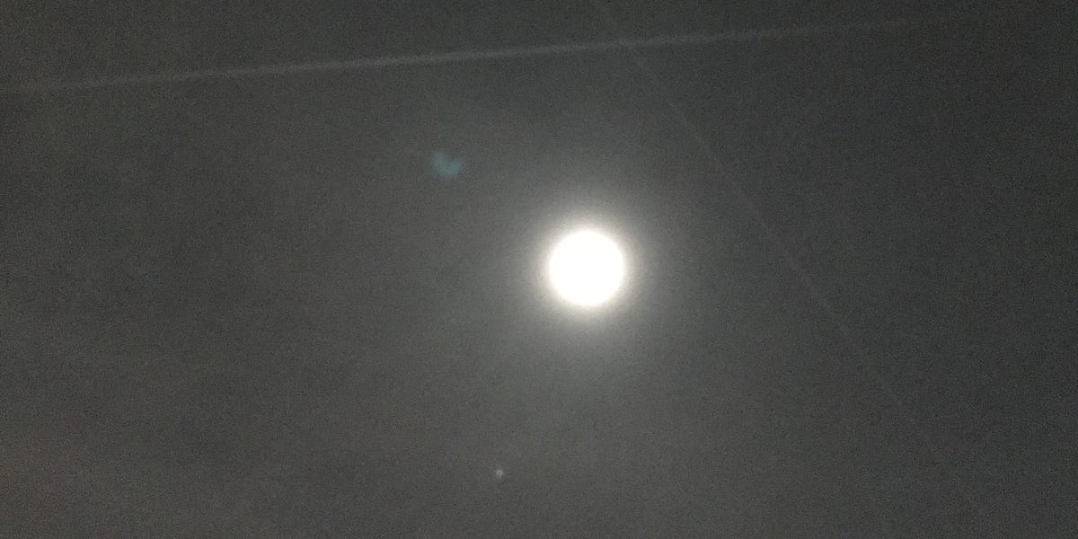 I Took Some Photos For NASA, Too - by Eli Grober