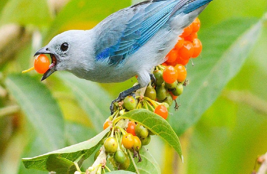 Tower of Adam Twitter Account - by Alexander d’Albini