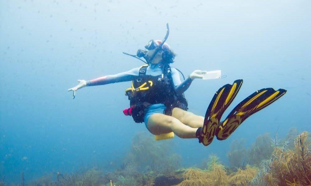 Which BCD? Try a Backplate and Wing! - by Alexandra Ward