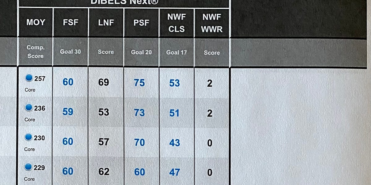 27 of 28 At or Above Level on Mid-Year DIBELS