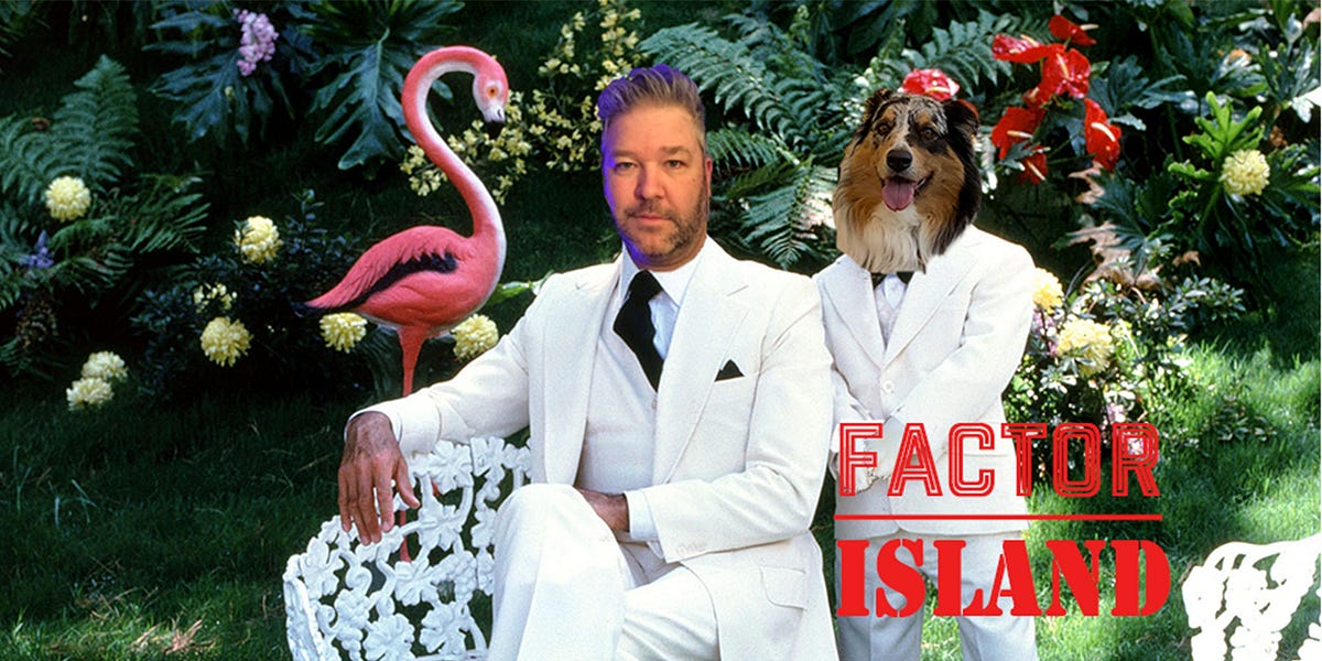 THE WEEKLY - Factor Island