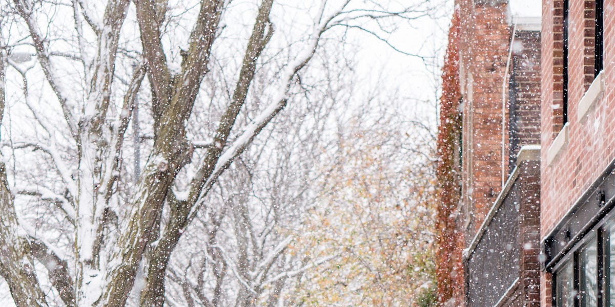 Otis the Snowman - by Izzy Shaw - Memory, Note, and Thought