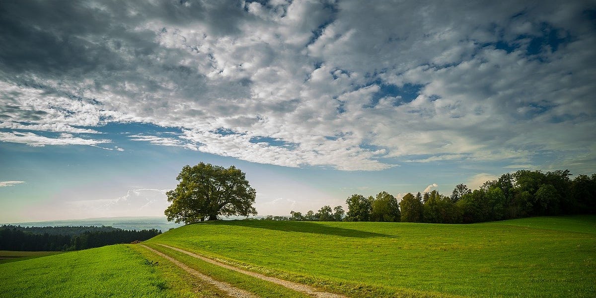 Quels sont les principaux outils de reporting ESG Quels sont les principaux outils de reporting ESG