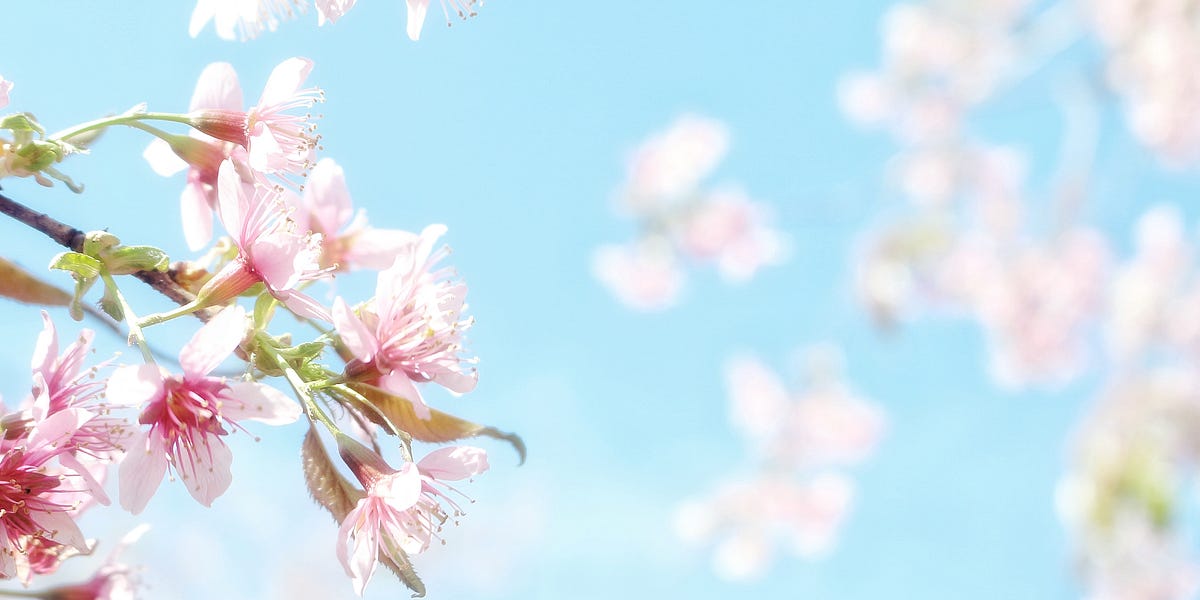 The First Haiku Gathering and the First Summer Haiku