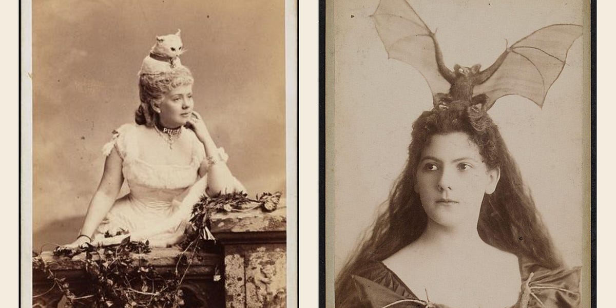 Victorian Taxidermy Hats - by Peter Pappas