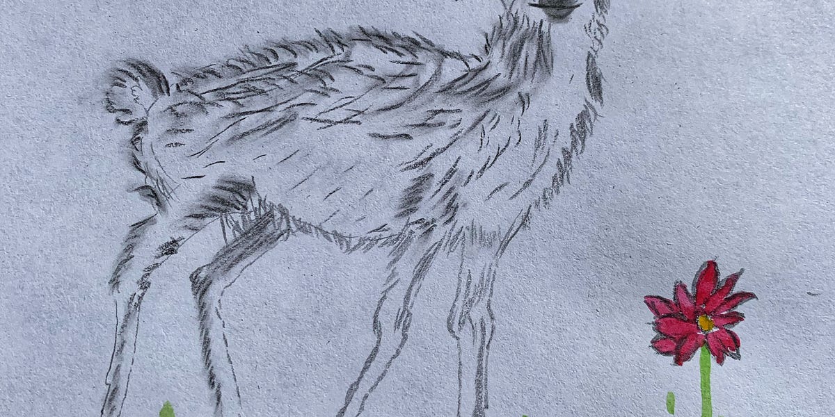 deary me! - 3musesmerge