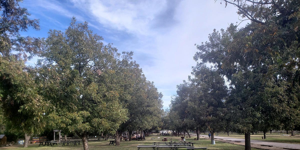 Bring Back the Junto Club - by Billy Robb - Cholla Express