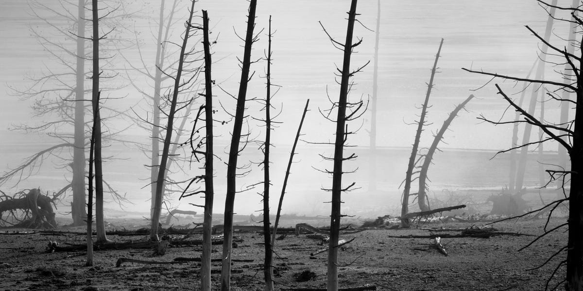 143. Pierwsze biada - by Piotr Hoffmann - Apokalipsa