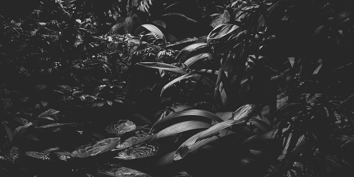 [Genesis 3] And the LORD God clothed them - by J. Alan Doak