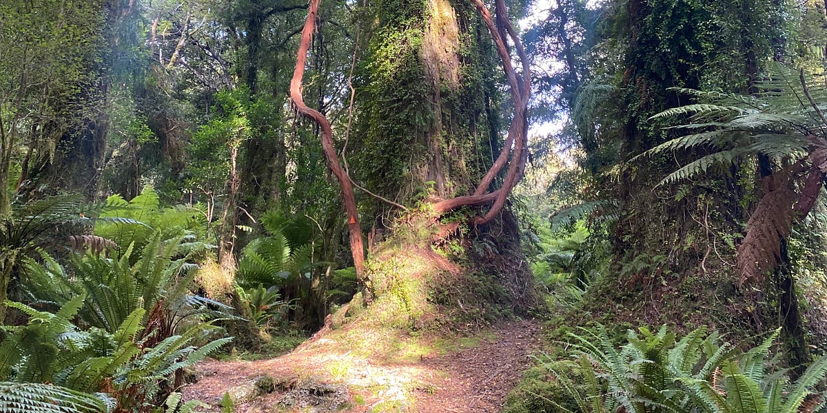 The final printed edition - by Dave Heatley