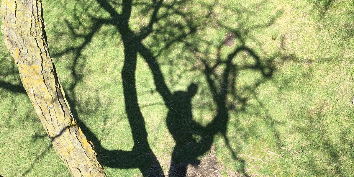 0: Here Begins Dryad - by Daniel P. Huffman - Dryad