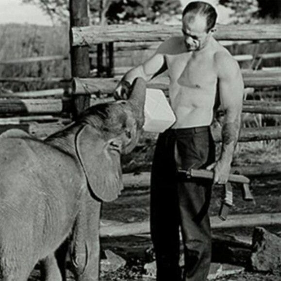 4 Week Low Volume Workout Plan Challenge - by BowTiedOx