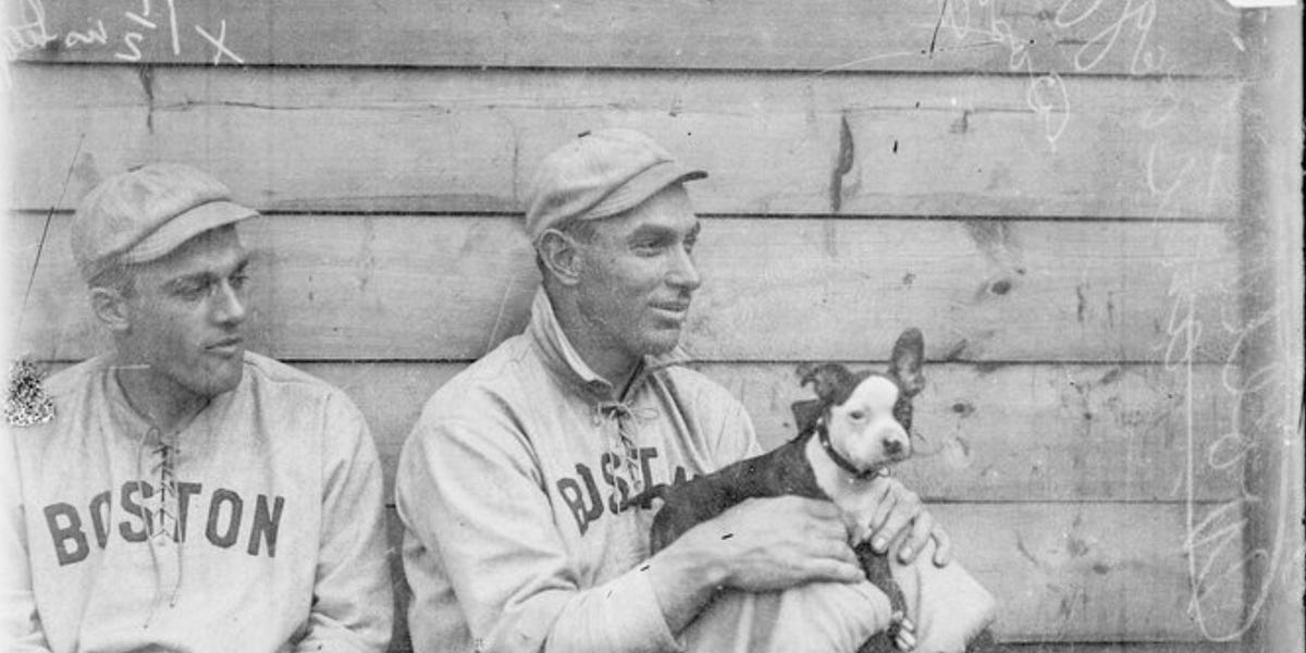 Monterey's First Yankee - by Joe Livernois