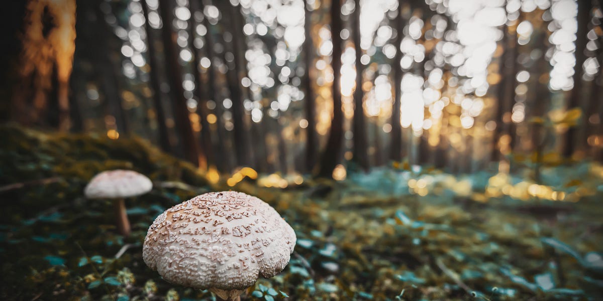 A Small Disturbance - by Jessica L. Pavia - The Audacity.