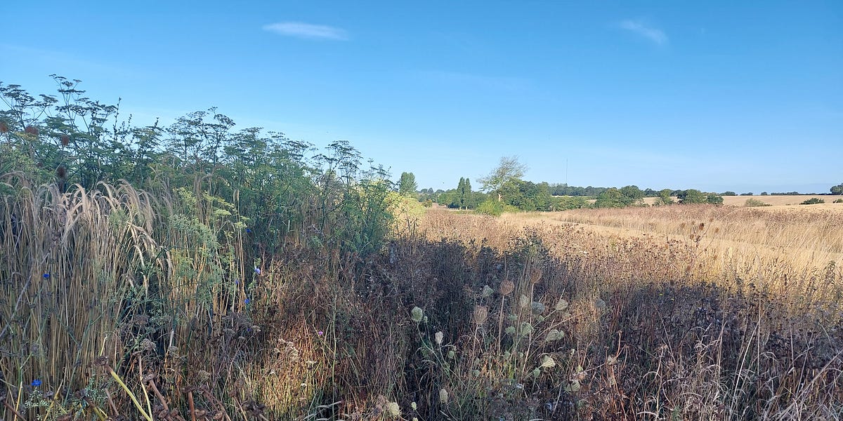 Letters and numbers - by Richard Negus